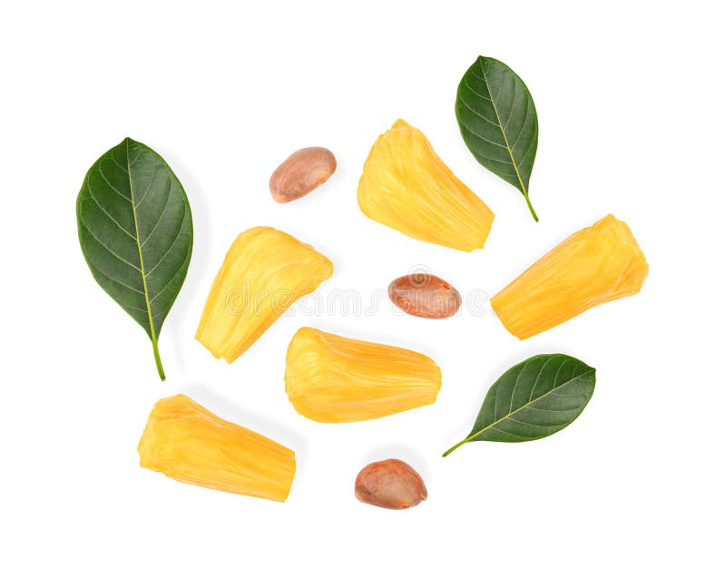 Sweet Jackfruit on White Background Stock Photo - Image of background ...