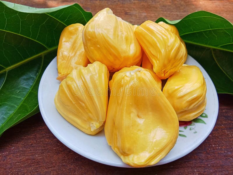 Jackfruit is a Tropical Fruit that Has a Sweet Taste Stock Image ...