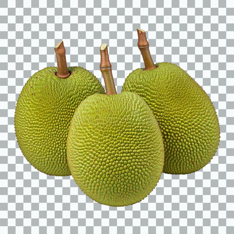 Jackfruit: a Versatile Plant-Based Delight Design Stock Photo - Image ...