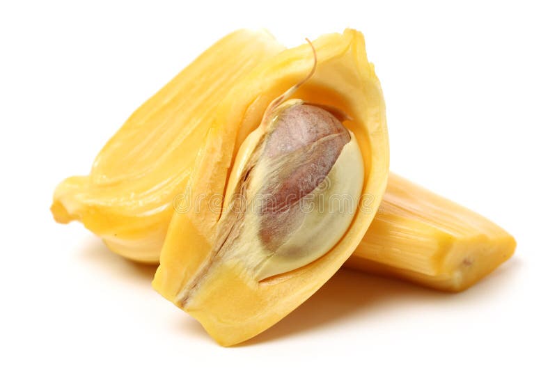 Jackfruit on White Background Stock Photo - Image of fresh, growers ...