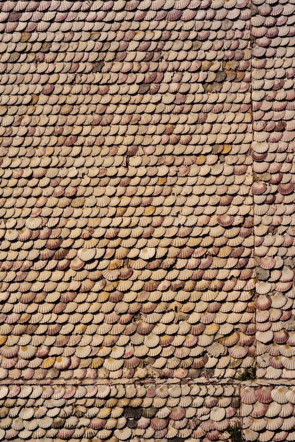 Jacobs shell wall stock image. Image of delicate, detail - 124776937