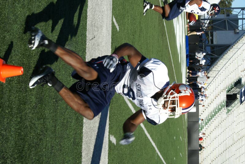 Jacoby Ford Stock Photos - Free & Royalty-Free Stock Photos from Dreamstime