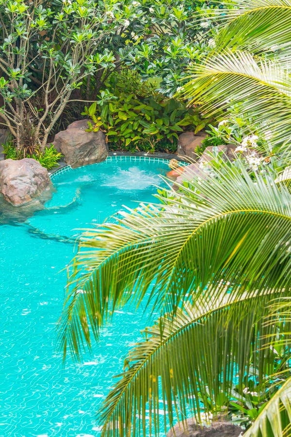 Jacuzzi In The Swimming Pool. Stock Image - Image of back, lifestyle ...