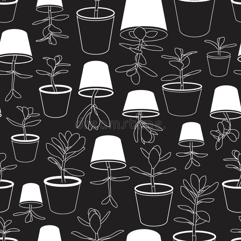 Jade Plants in Pots Black and White Seamless Pattern Stock Vector ...