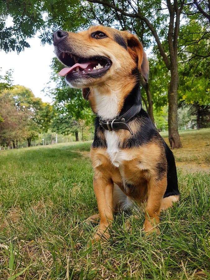 Jadeo para la respiración foto de archivo. Imagen de cubo - 119275904