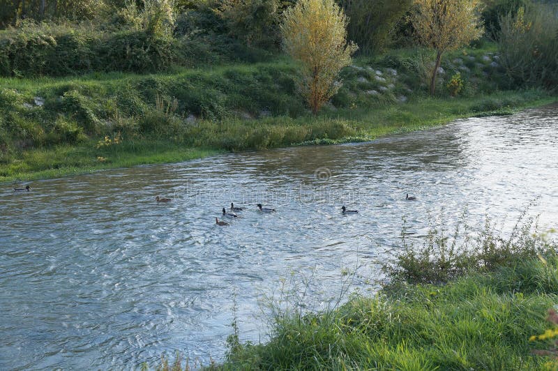Jadro River Near Split, Croatia Stock Image - Image of famous, croatian ...