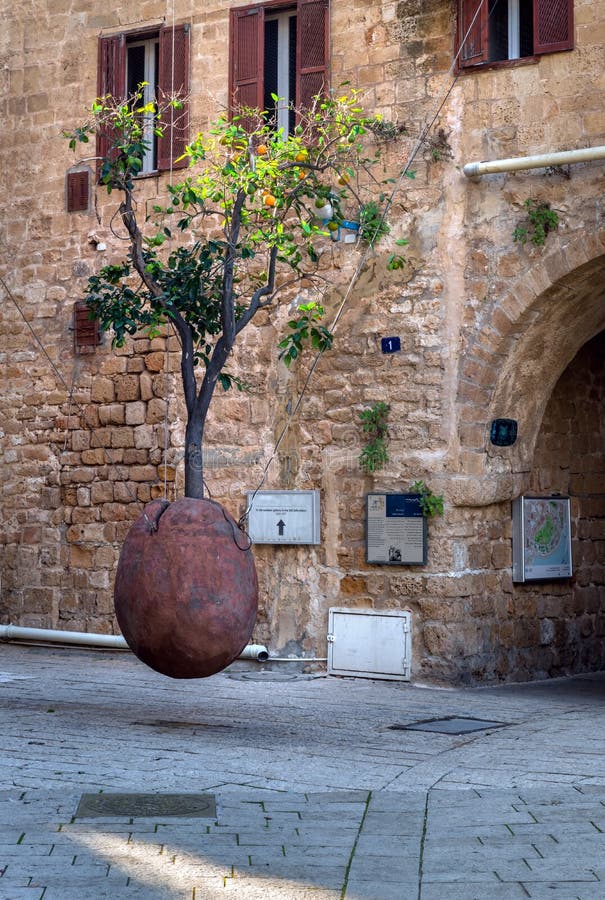 JAFFA, ISRAEL- DECEMBER 25, 2021: Old City. Orange Tree Installation ...
