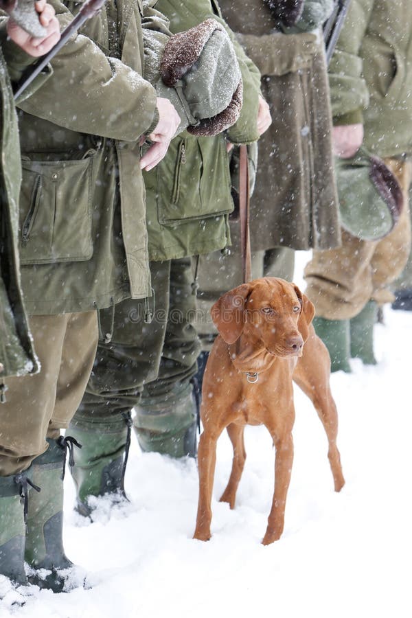 Jagers stock foto. Image of zoogdier, gamebeheerder, hobby - 21275750