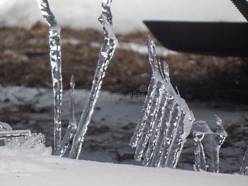 A Close-up of Fallen Icicles on the Ground in Winter Stock Photo ...