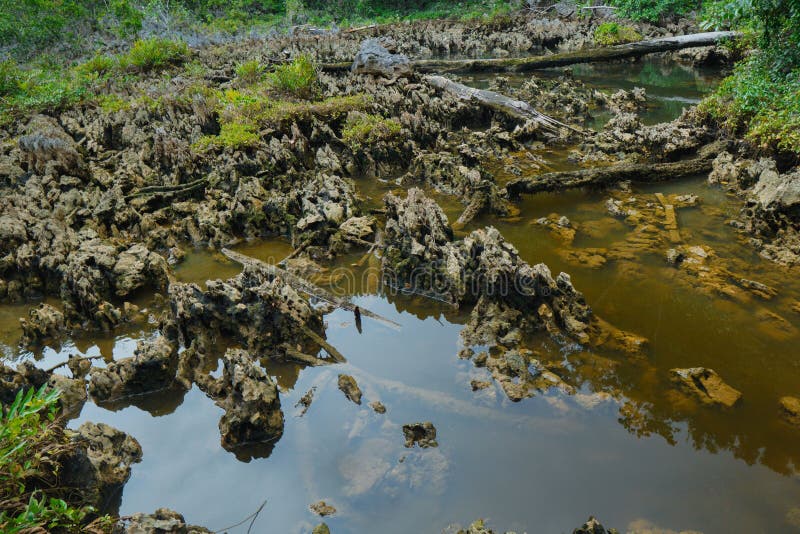 Jagged Limestone Landscape with Reflective Pools Stock Image - Image of ...