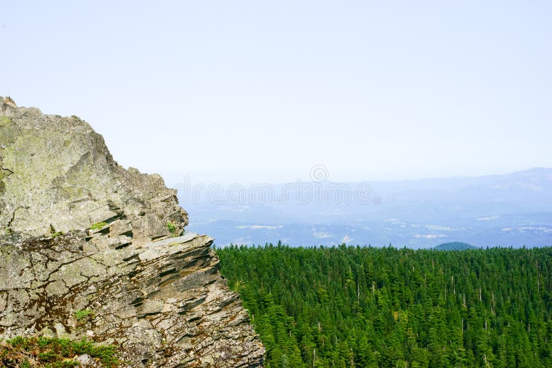 Jagged Rock Cliff Overlooks Gorge Stock Photo - Image of ledge, pine ...