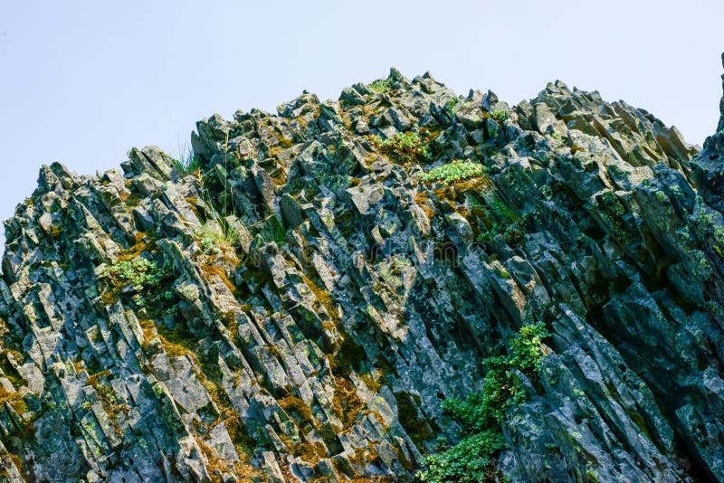 Jagged Rock Cliff Overlooks Gorge Stock Photo - Image of ledge, pine ...
