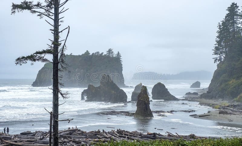 Ruby Beach, Olympic National Park, WA Stock Photo - Image of north ...