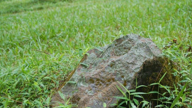 Jagged Stone Protruding from Grass Field Stock Photo - Image of boulder ...