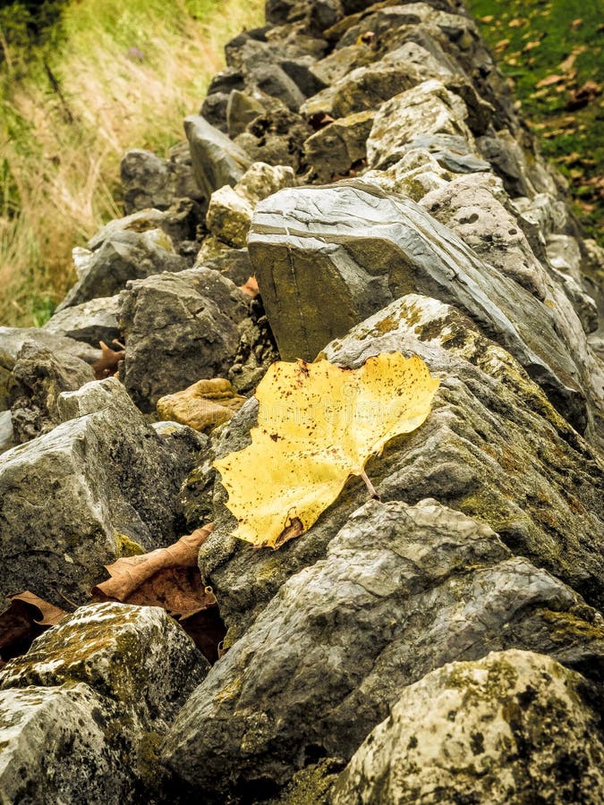 Jagged Stone Wall with Yellow Leaf Stock Image - Image of texture ...