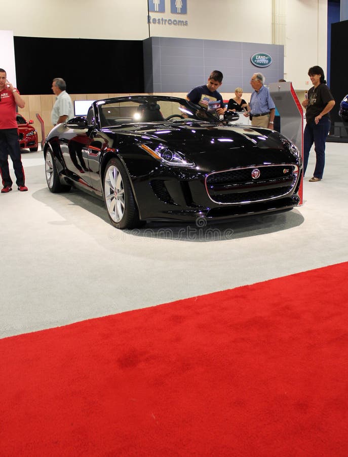 Jaguar 2015 editorial photography. Image of coming, head - 47996462