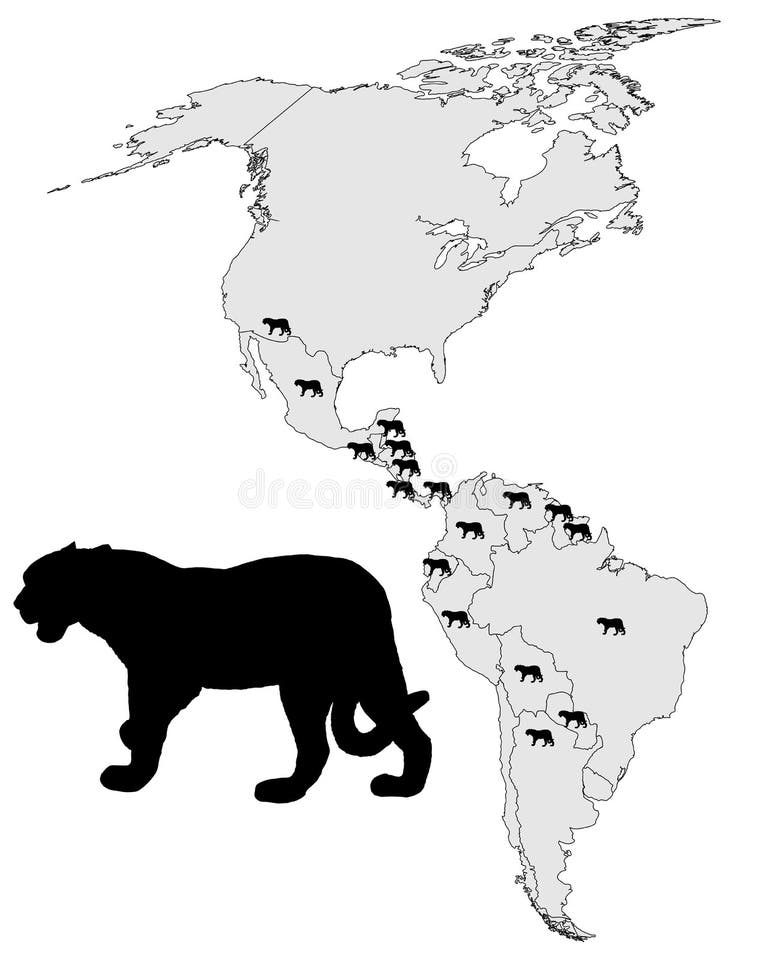 Jaguar Map South America Stock Illustrations – 63 Jaguar Map South ...