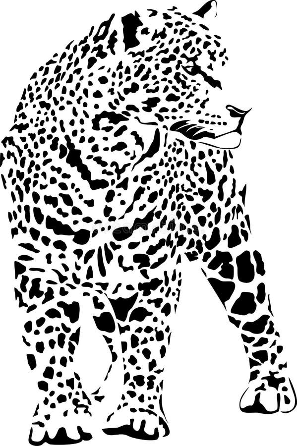 Jaguar stock vector. Illustration of abstract, symbol - 261096977