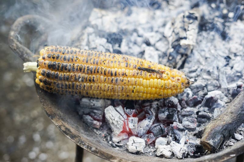 Jagung Bakar.Closeup Burning Corn Using Charcoal Stock Photo - Image of ...