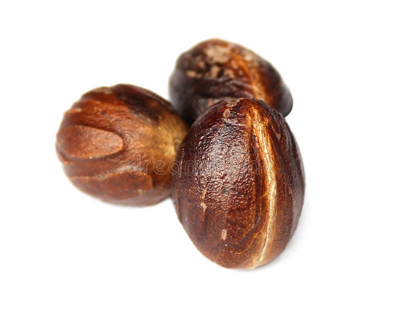 110 Jaiphal Stock Photos - Free & Royalty-Free Stock Photos from Dreamstime