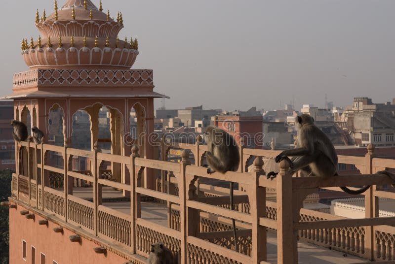 Jaipur, a Cidade Cor-de-rosa Imagem de Stock - Imagem de cidade, objeto ...