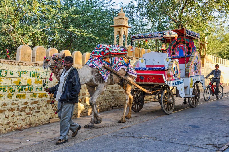 285 Camel Goods Stock Photos - Free & Royalty-Free Stock Photos from ...