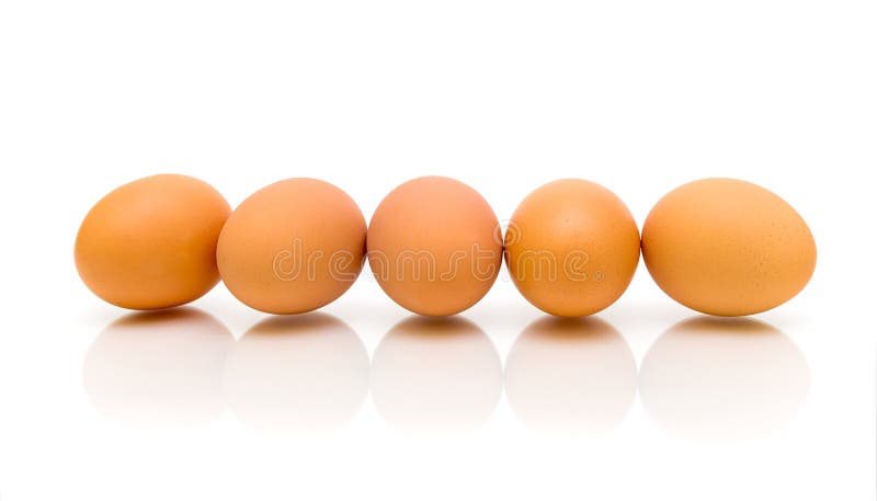 Sulkily Pospolita Domowa Mysz Na Białym Tle Obraz Stock - Obraz ...