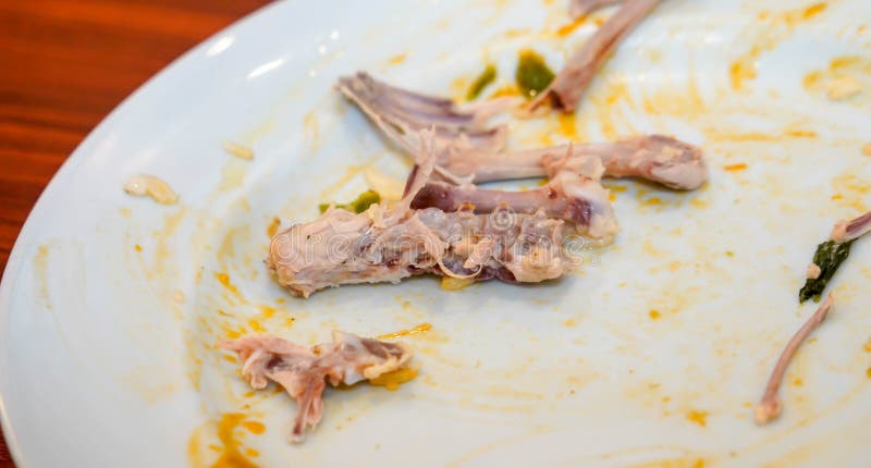 Dinner Trash stock photo. Image of delicious, recycling - 234698102