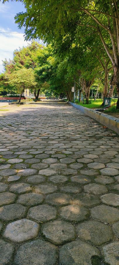 Jalan Taman Uses Paving Blocks and Trees that are Neatly Arranged Stock ...