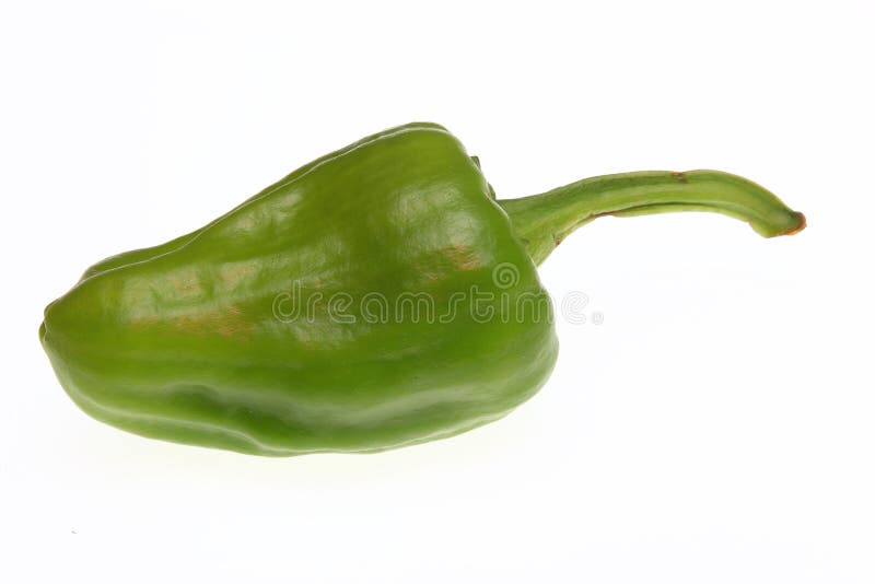 Jalapeno, Chili Pepper, Capsicum Annuum Stock Image - Image of pepper ...