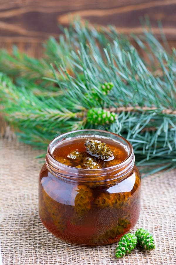 Jam of pine buds stock photo. Image of lifestyle, dessert - 19666976