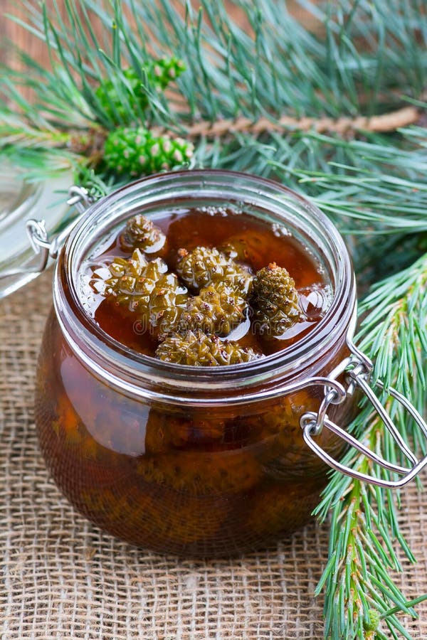 Jam from pine cones stock image. Image of immunity, cone - 55313805