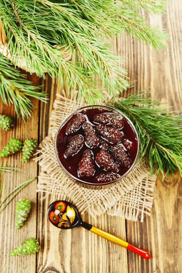 Jam of pine cones stock photo. Image of harvesting, dessert - 73756326