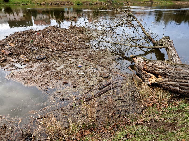 Terrace with Wooden Pergola and Plexiglass Roof. Vines are Stock Image ...
