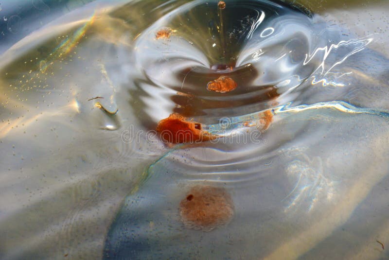 Jam splash stock image. Image of flowing, liquid, falling - 87525961