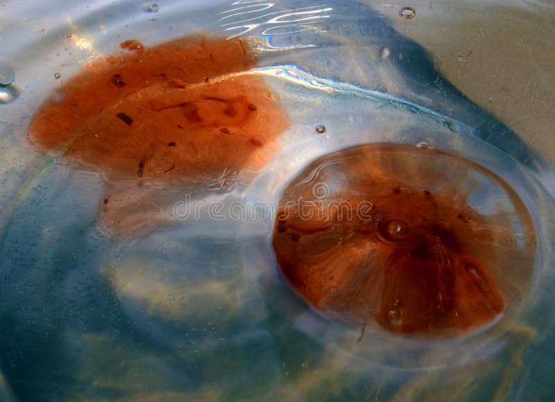 Jam splash stock photo. Image of bubble, motion, delicious - 87526148