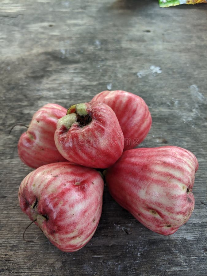 Jamaica guava fruit stock image. Image of fruit, guava - 192219215