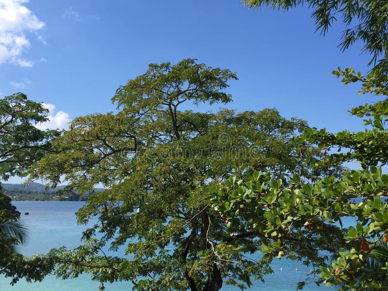 Jamaica stock image. Image of beach, cafacopy, glacier - 68246047