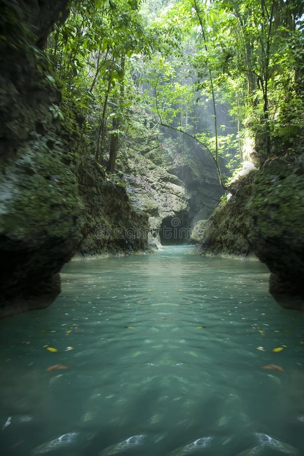 Jamaica river stock image. Image of fall, purity, green - 10126377