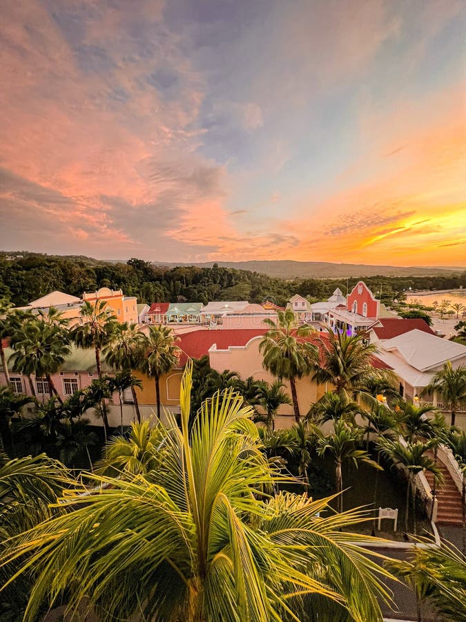 Jamaica Sunset while Traveling Stock Photo - Image of horizon, tree ...