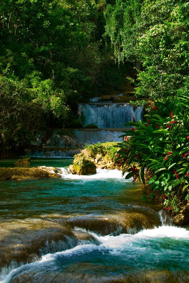 Jamaica waterfalls stock image. Image of jamaica, negril - 10681585