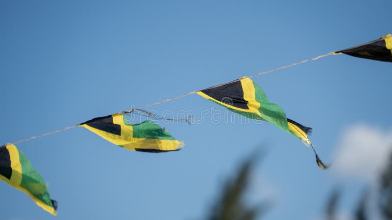 Jamaican Flag on a Rope in a Tropical Setting with Palm Trees Stock ...