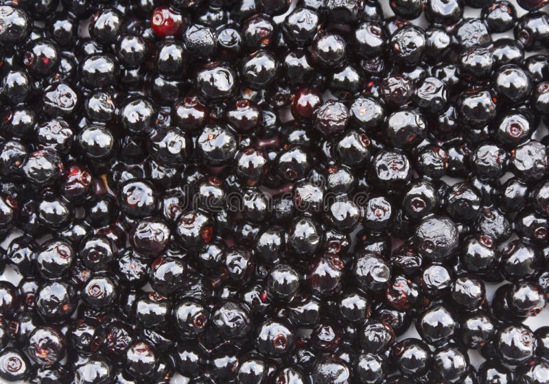 Jambolan fruit stock photo. Image of jambolana, container - 38158474