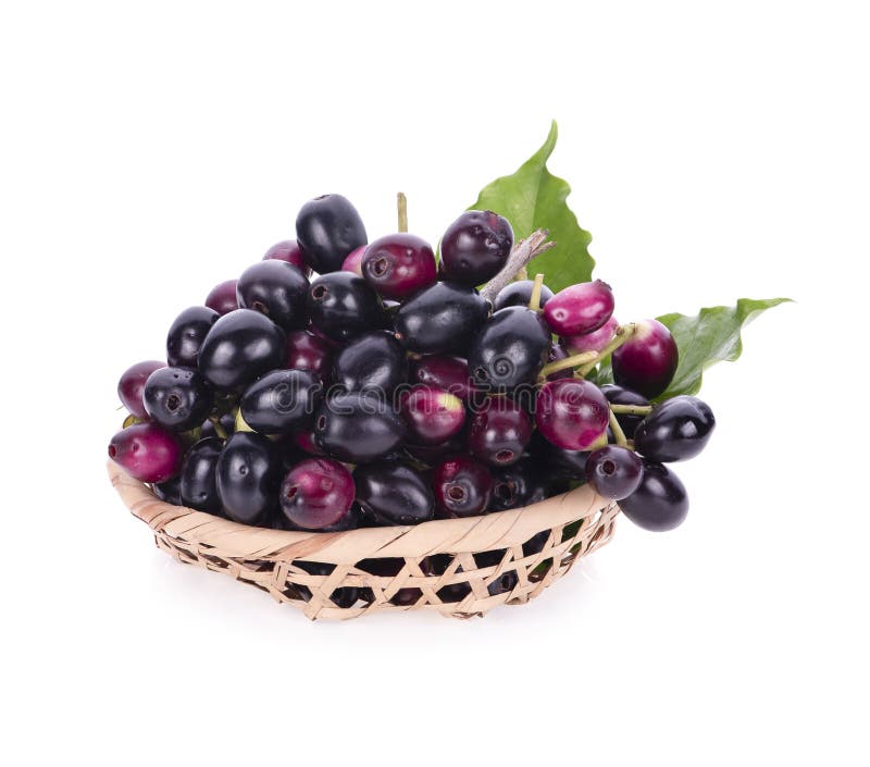 Jambolan fruit stock image. Image of ripe, group, appetizer - 38160721