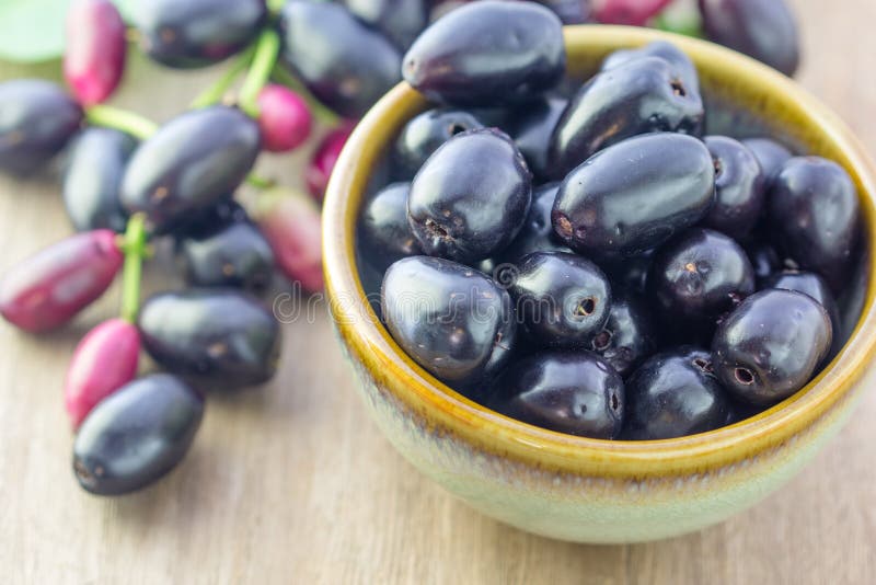 Jambolan plum, Java plum stock image. Image of essential - 58687909