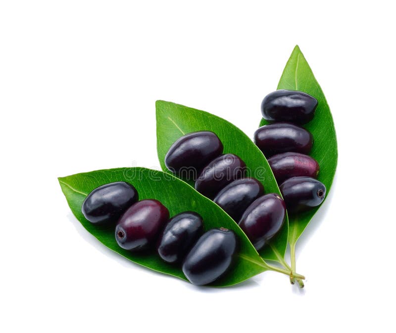 Jambolan Plum Java Plum Syzygium Cumini Isolate Sobre Fondo Blanco ...