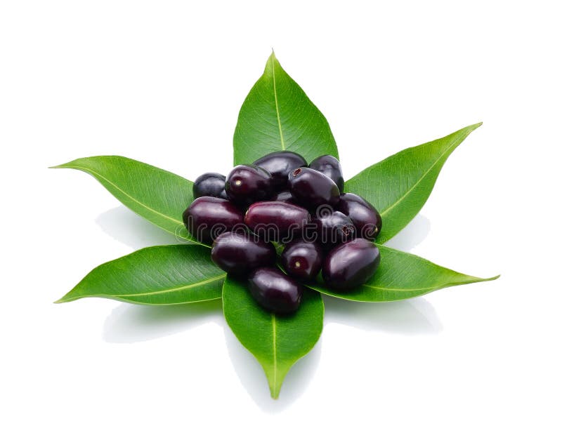 Jambolan Plum, Java Plum Syzygium Cumini on White Background Stock ...