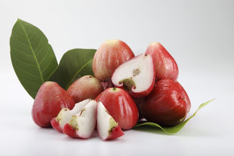 Jambu stock photo. Image of drink, reddish, whole, java - 16216970