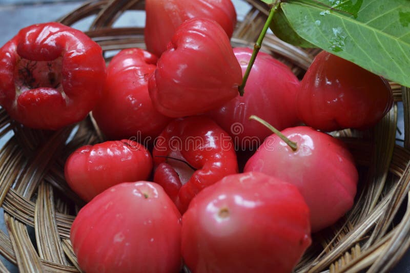 Red guava water stock photo. Image of sweet, scene, food - 343686166