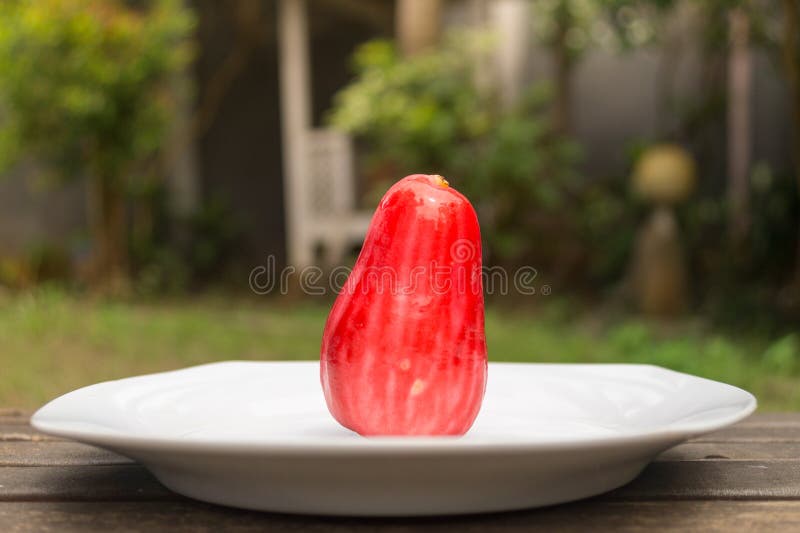 One Jambu Guava on Wood Ground in Garden Stock Photo - Image of natural ...